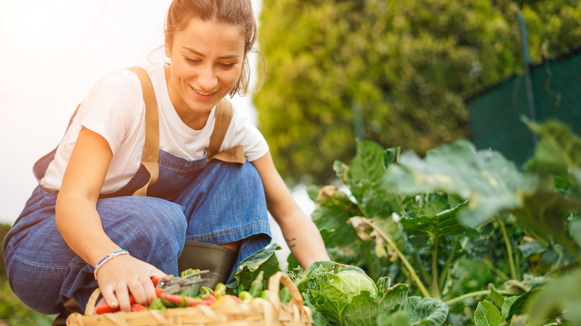 Magazine - QCertificazioni | Certificazione del Biologico